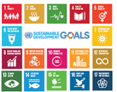 "The Sustainable Development Goals in the G20 Countries" | Università ...